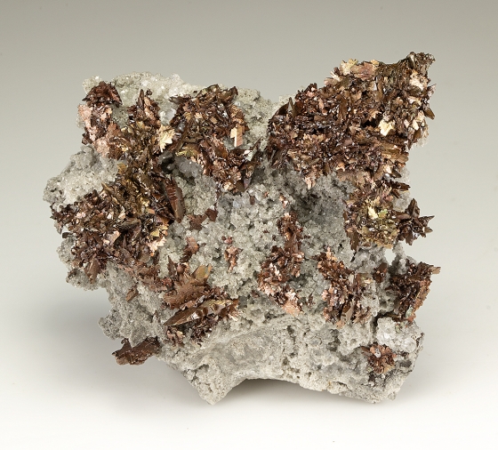 Marcasite - Minerals For Sale - #3332457